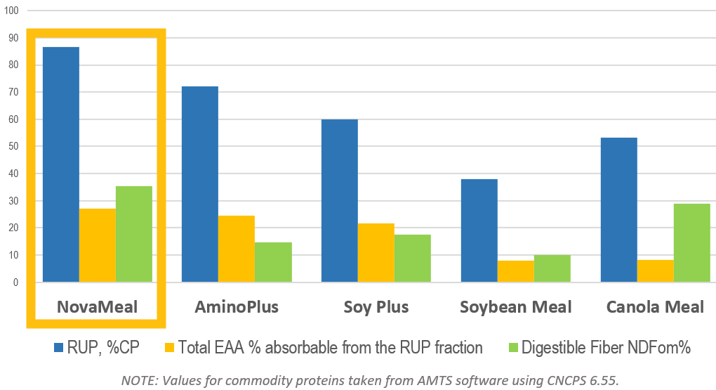 Enhance Dairy Nutrition Using NovaMeal Bypass Protein